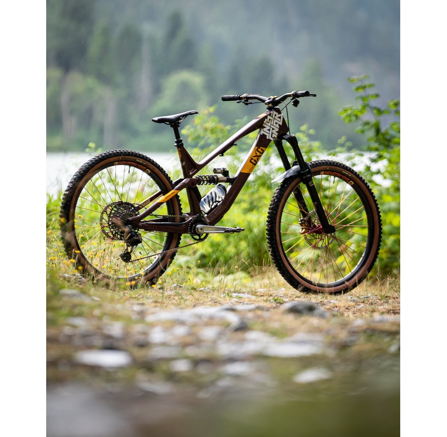 A GG Lança a Gnarvana de Última Geração | BikeMarket.pt