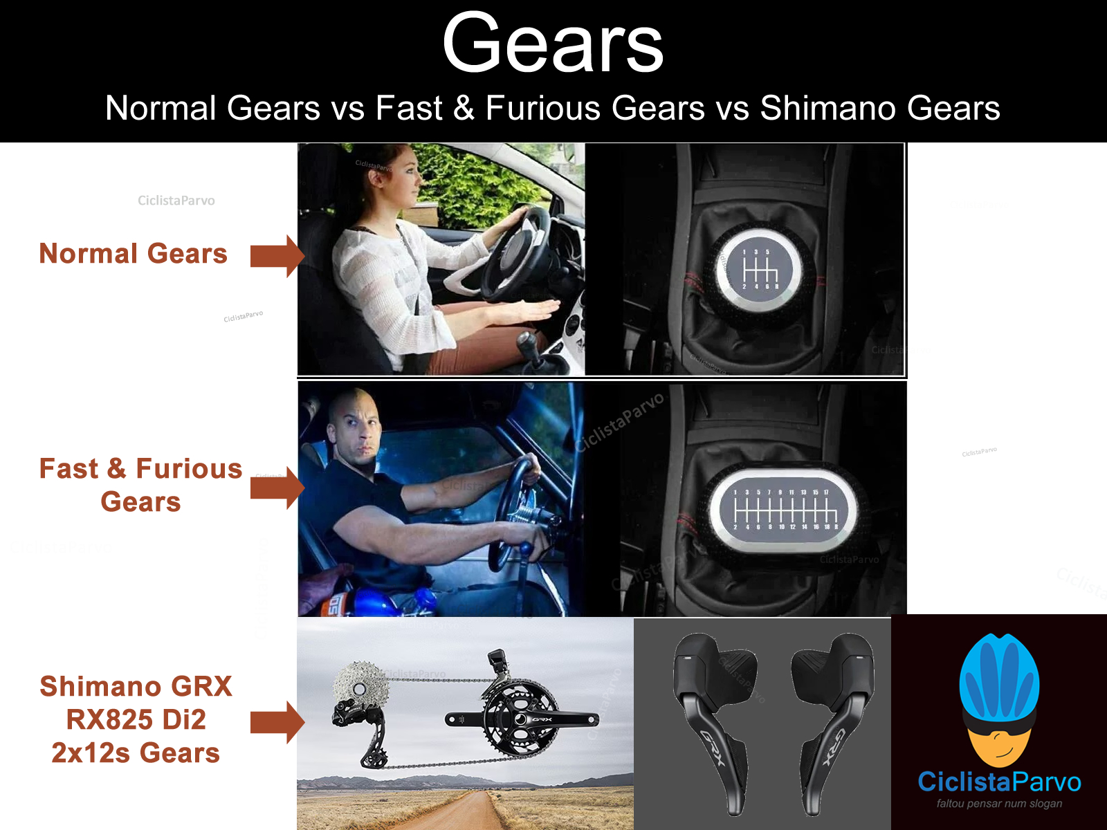 Gears | BikeMarket.pt